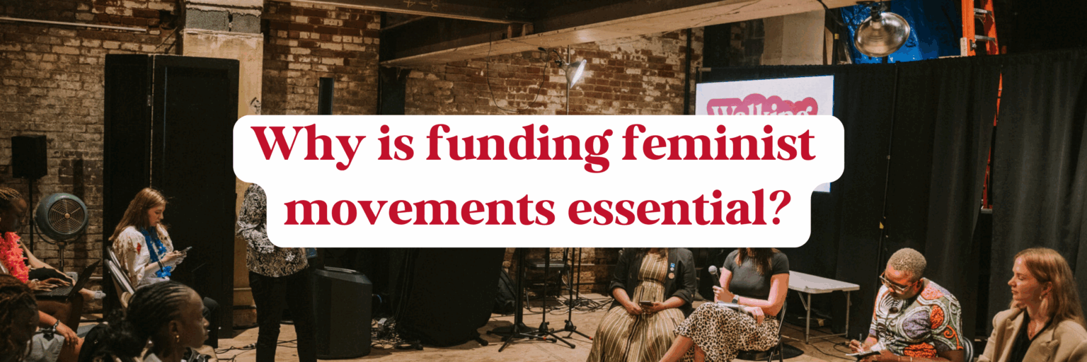 The Architecture of Change: Feminist Pathways to Financing Gender ...